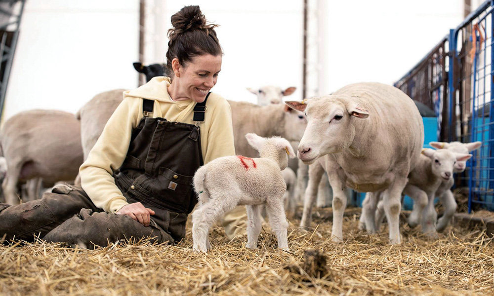 Sandi Brock uses social media to connect people to agriculture - Farm 2019